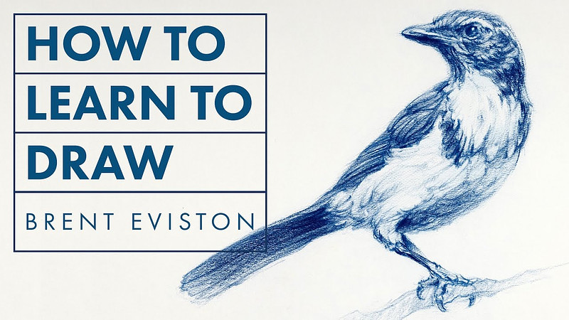 Proko - Don't Know What to Practice? Here's the Best Way to Learn How ...