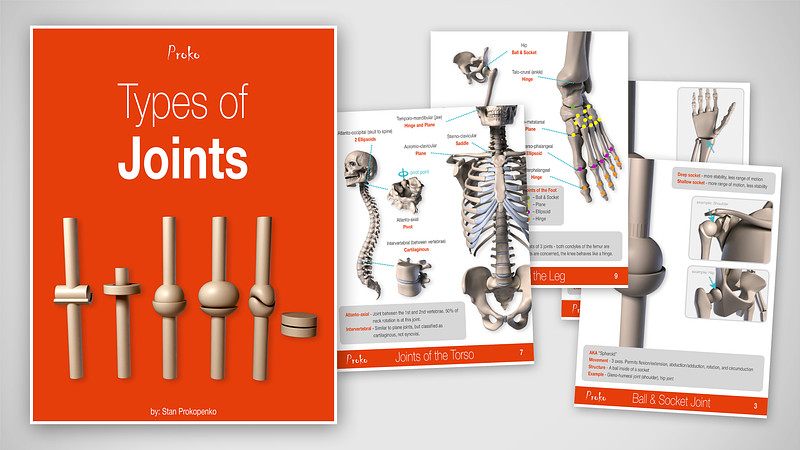 Proko - eBook: Types of Joints