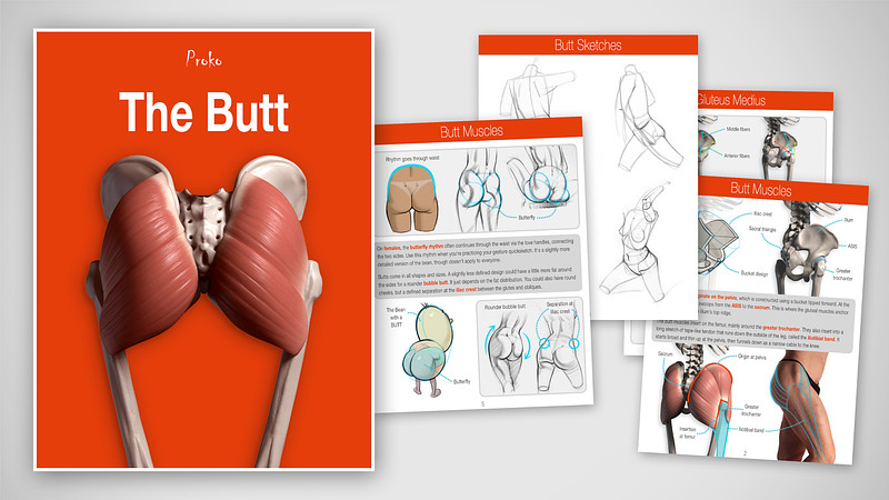 Proko - eBook: The Butt Muscles