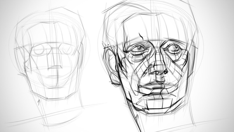 Proko - Fully Constructing a Head from Scratch