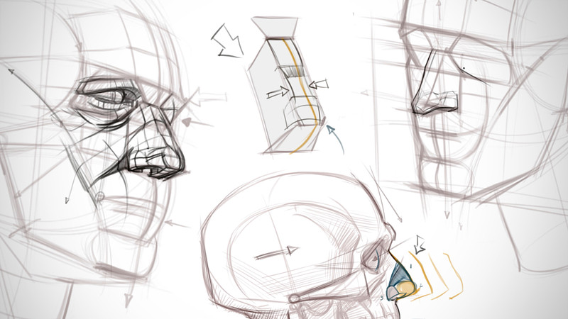 Proko - Focus on Feature - Nose & Cheek