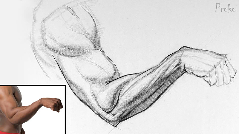 Proko - Forearm Assignment Example 4