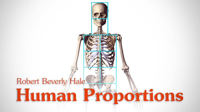Proko - Human Proportions – Cranial Units