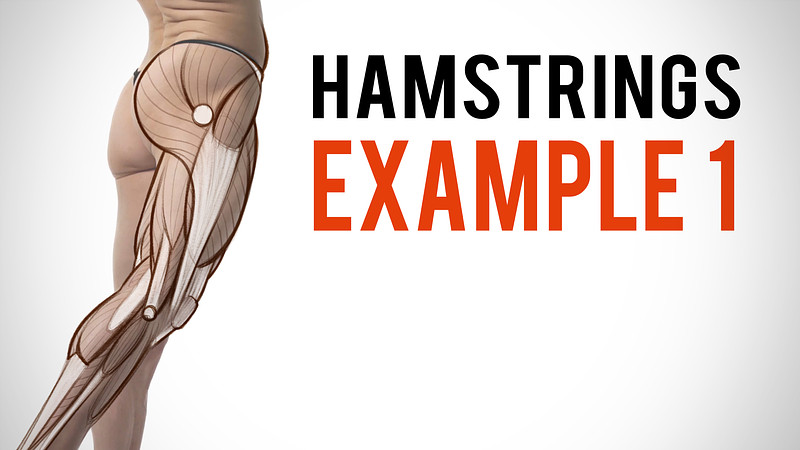 Proko - Hamstrings Muscle Assignment Example 1