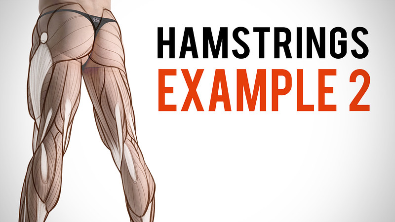 Proko - Hamstrings Muscle Assignment Example 2