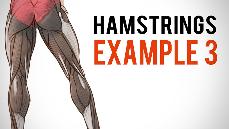 Proko - Hamstrings Muscle Assignment Example 3