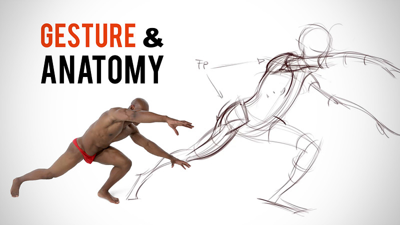 Proko - Gesture and Anatomy - Full Demo