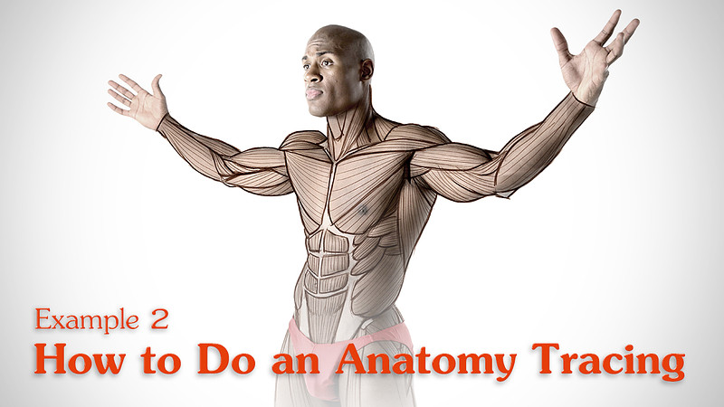 Proko - Anatomy Tracing Assignment Example 2