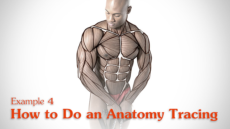 Proko - Anatomy Tracing Assignment Example 4