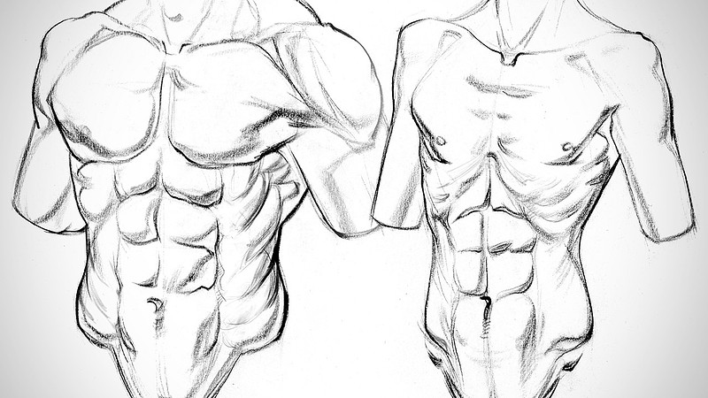 Proko - How to Draw Obliques – Physique Variations