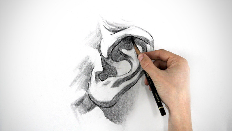 Proko - How to Draw Ears – Real-Time Demo