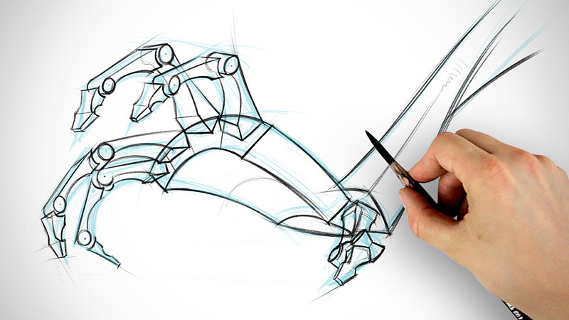 Proko - Hand Bones Assignment Example