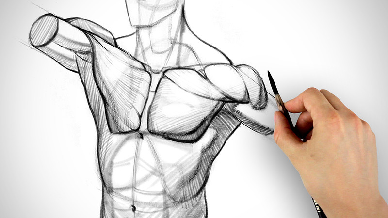 Proko - How to Draw Pecs – Form