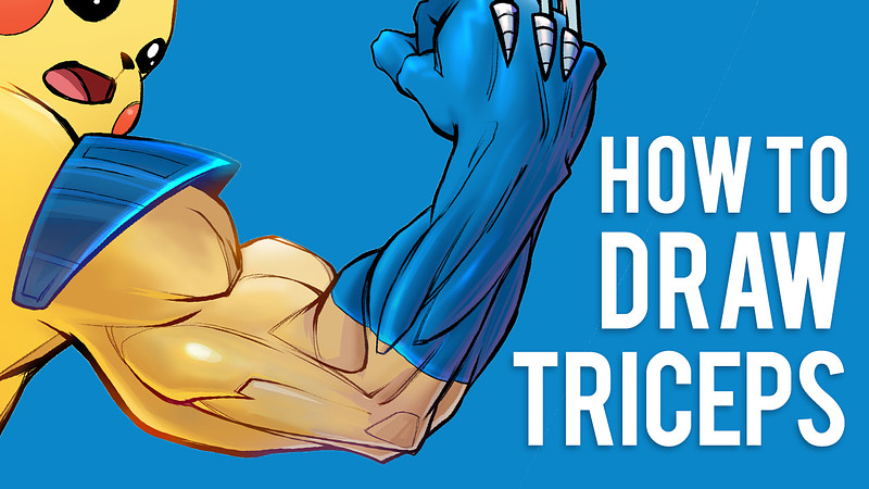 Proko - How to Draw Triceps – Anatomy for Artists