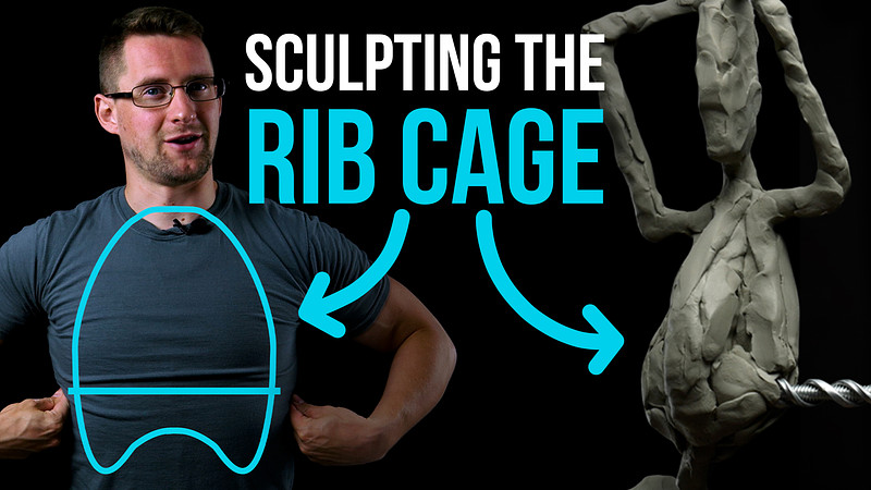 Proko - How to Sculpt the Rib Cage