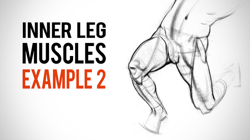 Proko - Inner Leg Muscles Assignment Answer 2