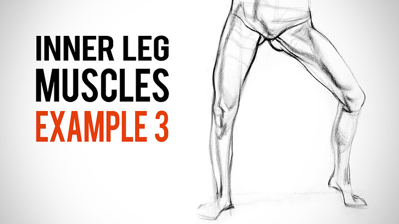 Proko - Inner Leg Muscles Assignment Answer 3