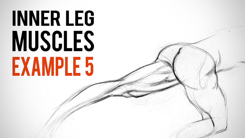 Proko - Inner Leg Muscles Assignment Answer 5