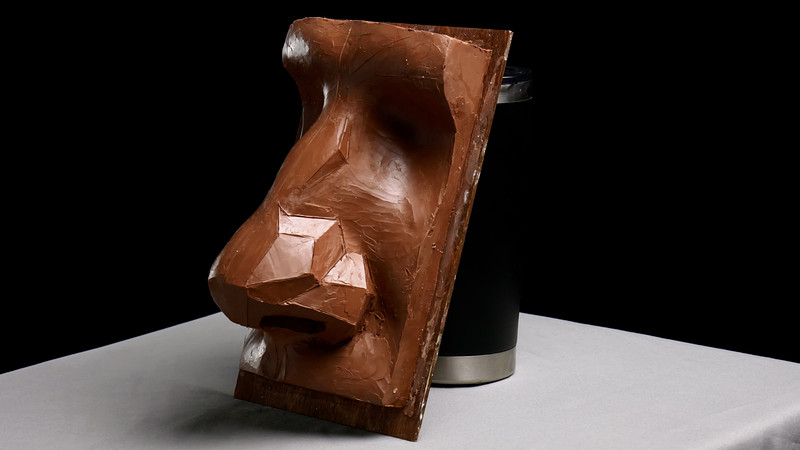 Proko - Larger than Life Nose Study - Part 3 | The Plane Changes