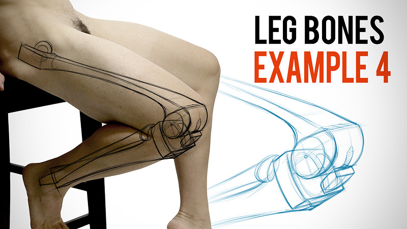 Proko - Leg Bones Assignment Example 4