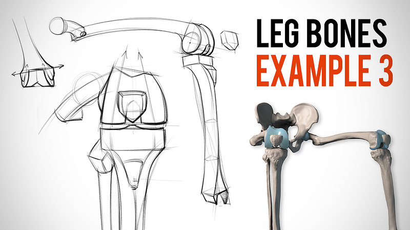 Proko - Leg Bones Assignment Example 3
