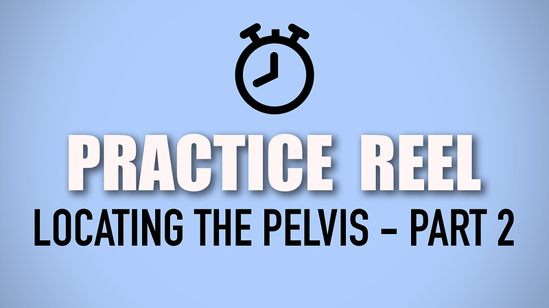 Proko - Locating the Pelvis - Practice Reel 2