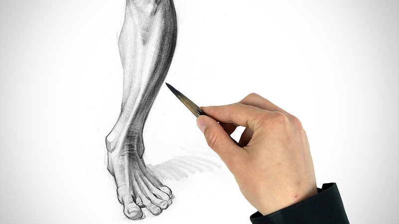 Proko - Lower Leg Assignment Example