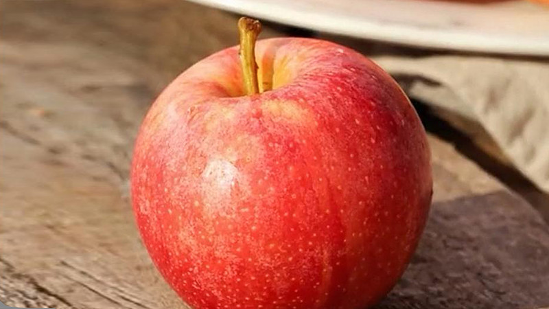 Proko - Painting Subjects