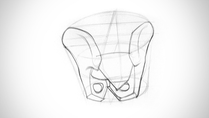 Proko - Pelvis Assignment Example 6