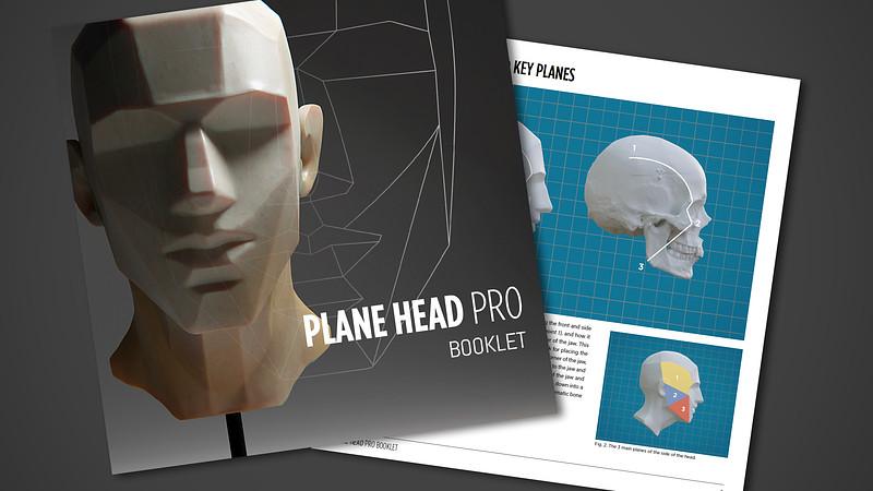 Proko - Plane Head Pro Booklet