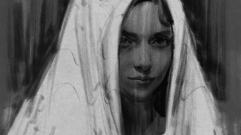 Proko - Portrait Brush Demo 1