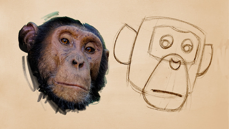 Proko - Project - Simple Animal Portraits