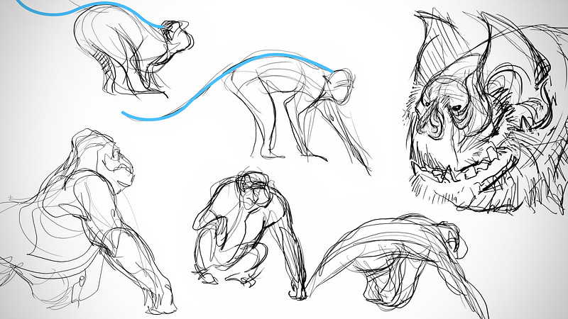 Proko - Reviewing Concepts