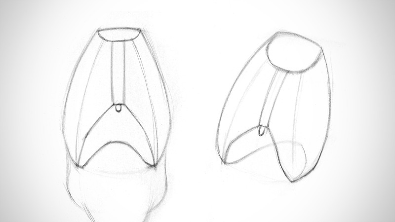 Proko - Rib Cage Assignment Example - Front View