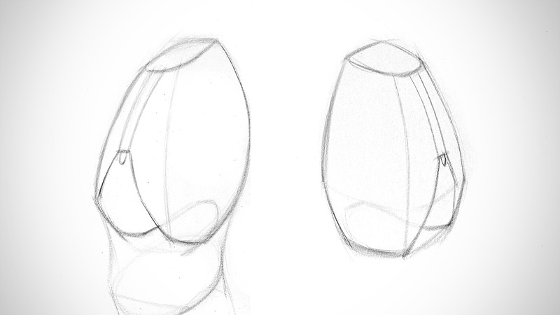 Proko - Rib Cage Assignment Examples - Side View