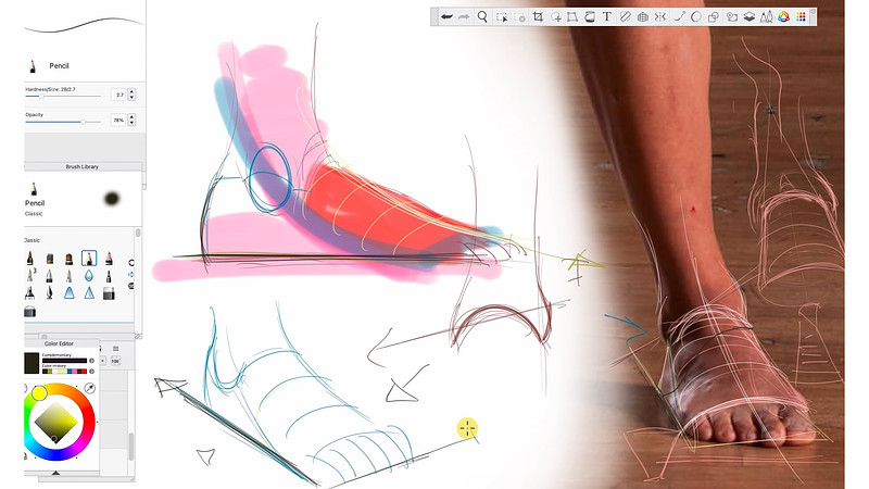 Proko - Simple Structures of the Feet