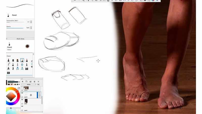 Proko - Simple Structures of the Feet - The Toes