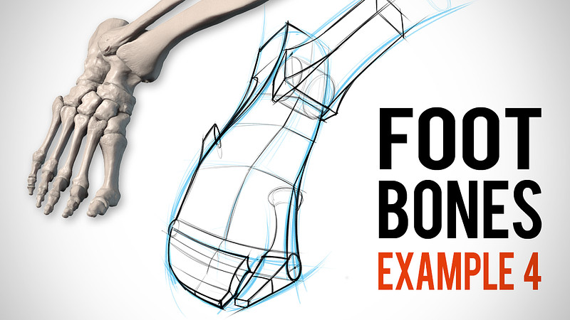 Proko - Foot Bones Assignment Example 4
