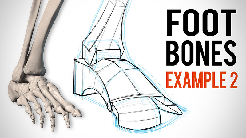 Proko - Foot Bones Assignment Example 2