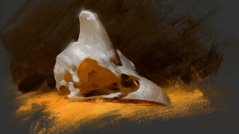 Proko - Skull Painting Demo