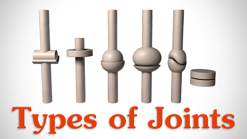 Proko - The 6 Types of Joints