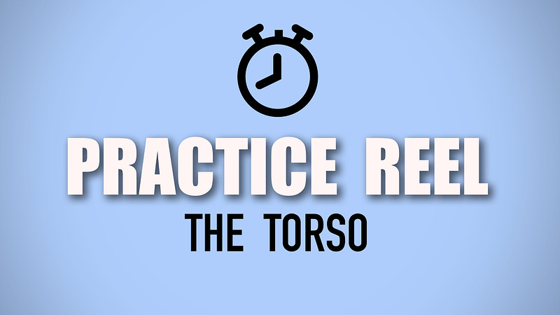 Proko - The Torso - Practice Reel