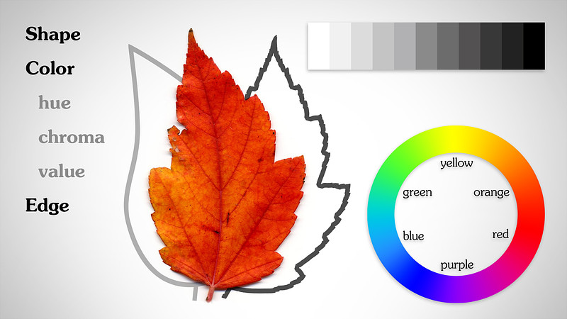 Proko - The Basic Elements – Shape, Value, Color, Edge