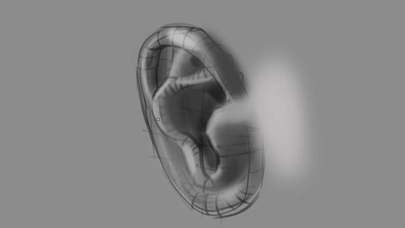 Proko - The Ear + Assignment