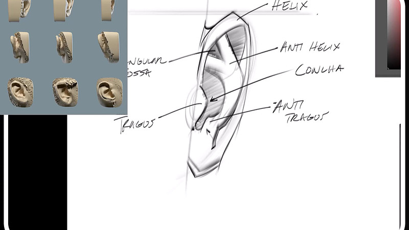 Proko - The Ears Part 1