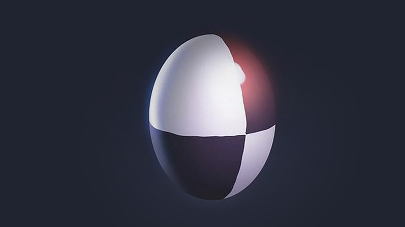Proko - The First Egg!