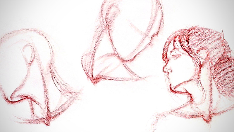 Proko - The Head & Neck