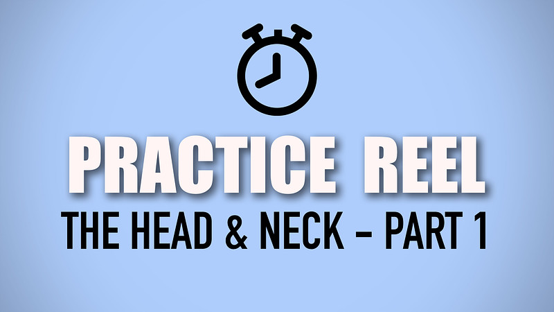 Proko - The Head & Neck - Practice Reel 1