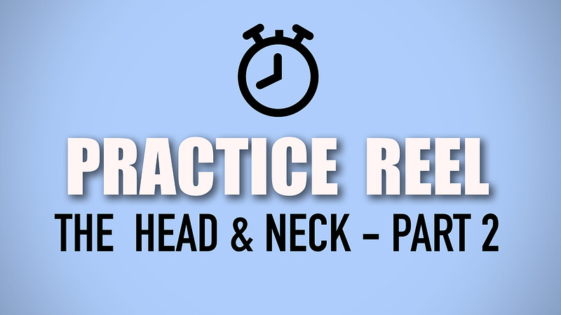 Proko - The Head & Neck - Practice Reel 2
