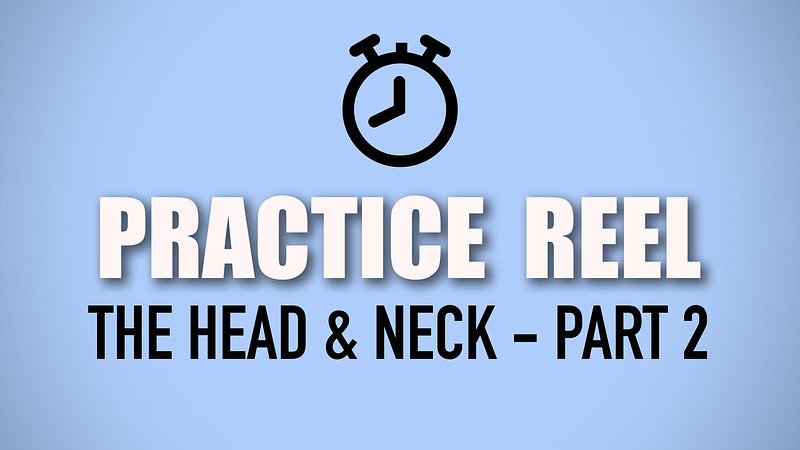 Proko - The Head & Neck - Practice Reel 2